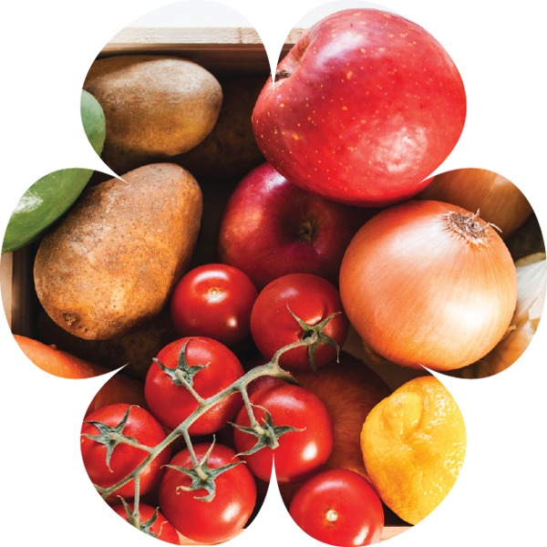 Medically Tailored Meals in Georgia